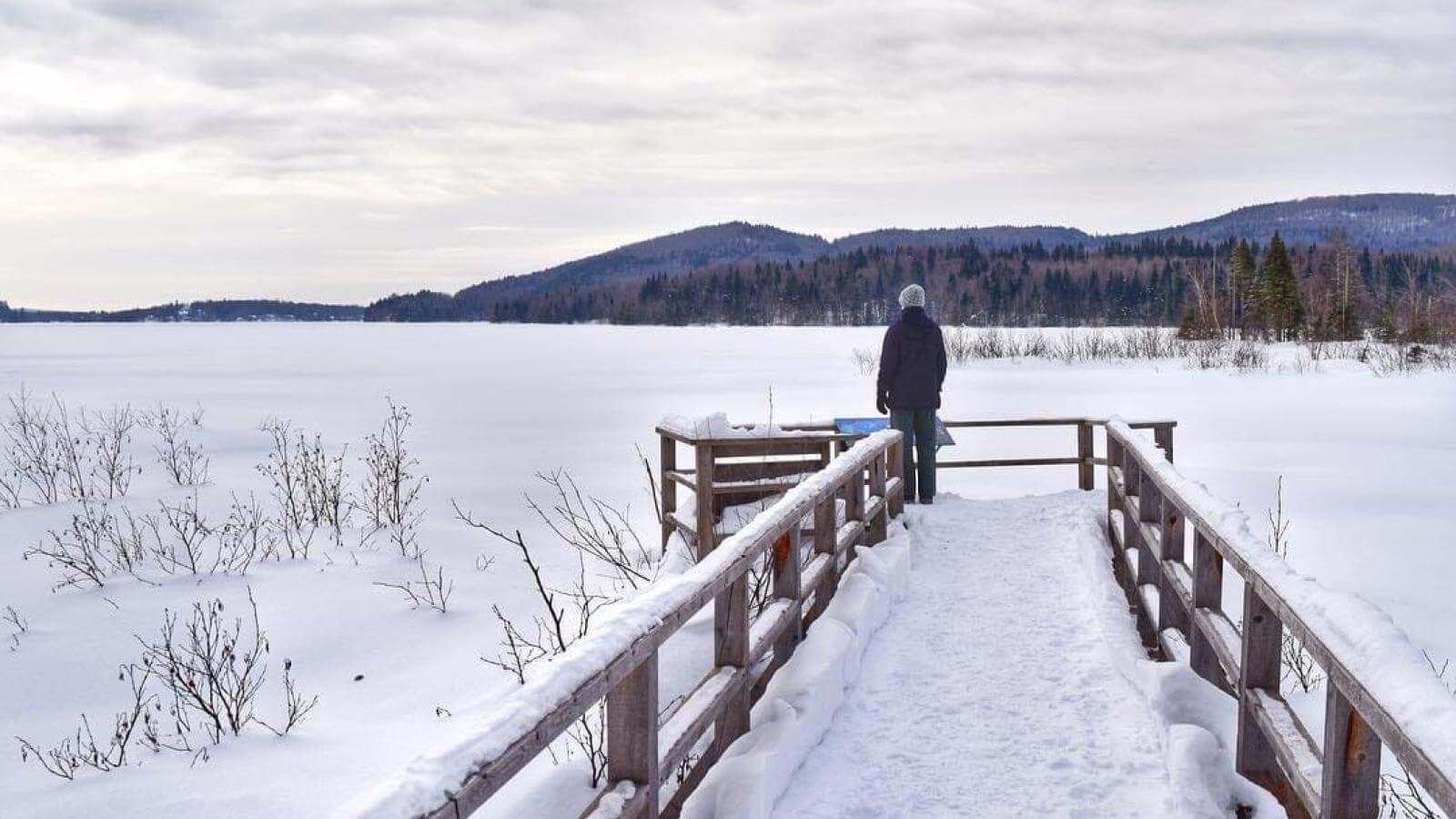 5 Sentiers de raquette exceptionnels | Visiter Québec