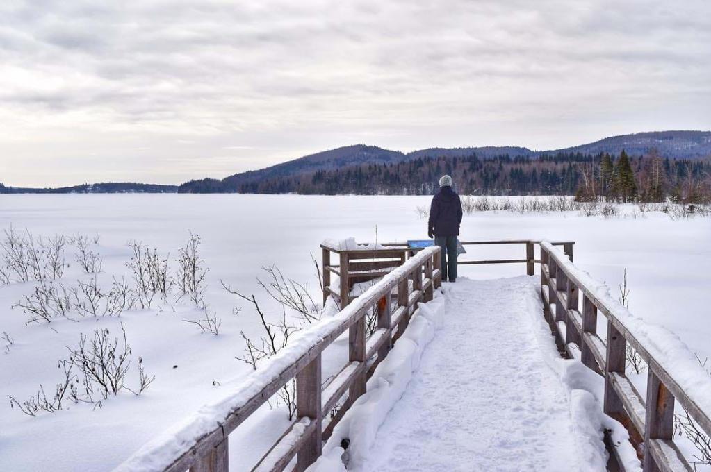 Beautiful Gardens and Parks for a Nature Walk | Visit Québec City