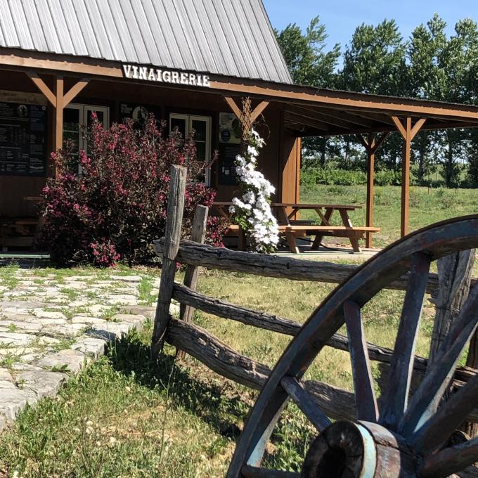 Boutique Du Capitaine - Made in Québec | Places to shop | Visit Québec City