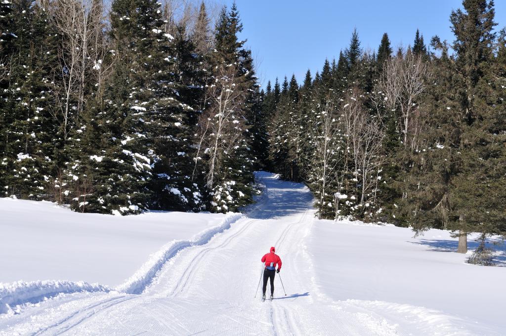 Le centre Castor | Visit Québec City
