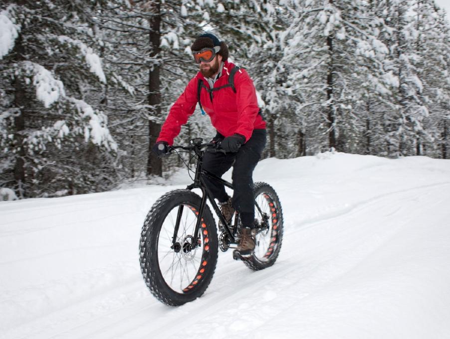 Le centre Castor | Visiter Québec