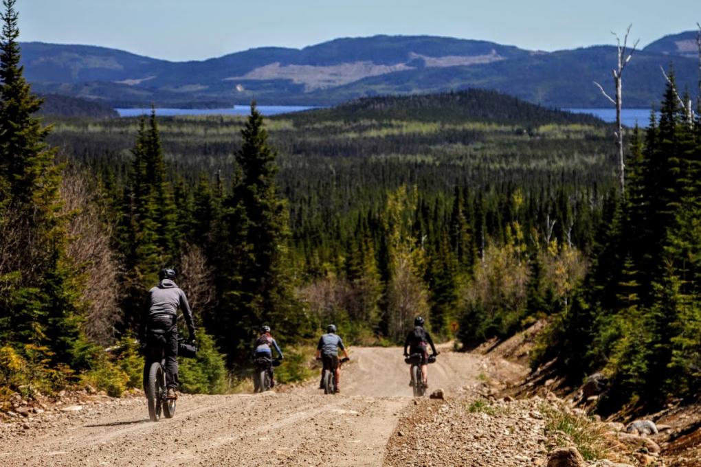 Réserve faunique des Laurentides | Visiter Québec