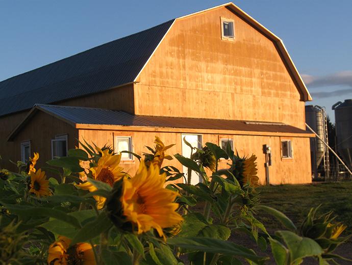 La Ferme Québec-Oies | Visiter Québec