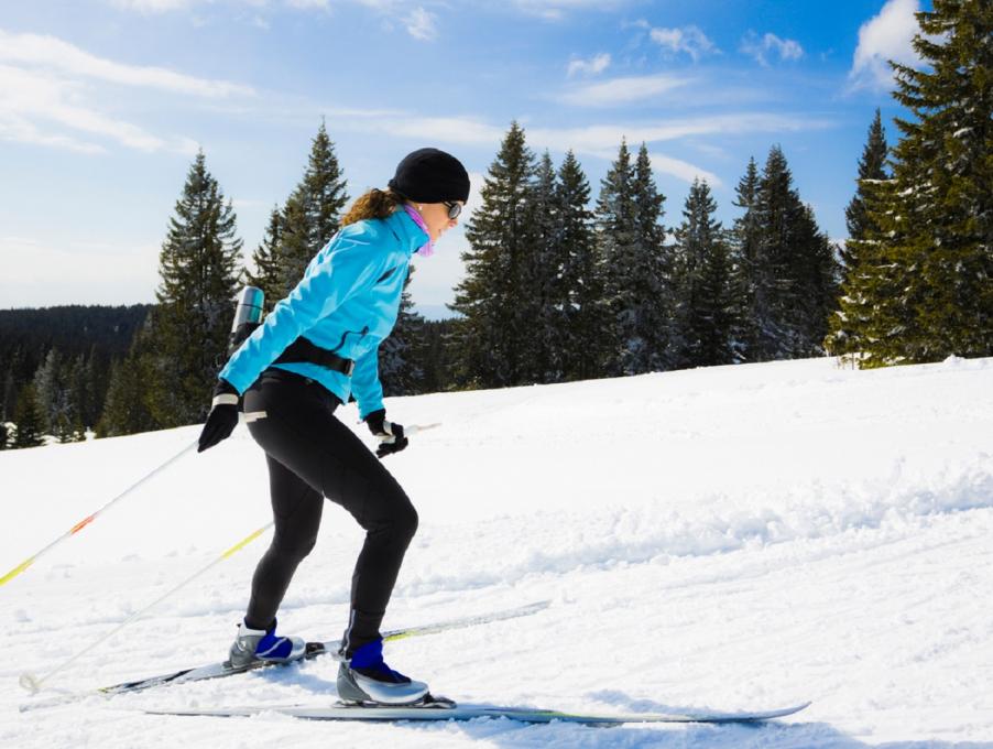 Le centre Castor | Visiter Québec