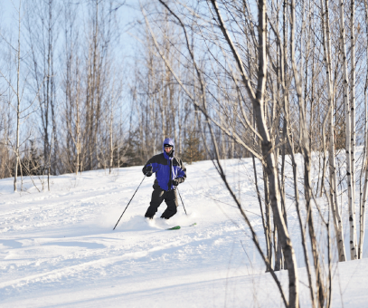 Le centre Castor | Visiter Québec