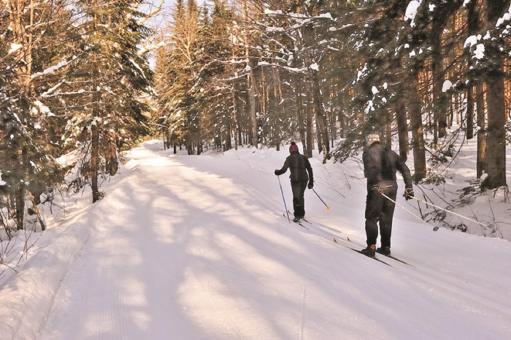 Le centre Castor | Visiter Québec