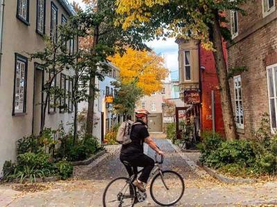 Festival d'été de Québec| Events in Québec City