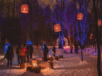 Top Things to Do in Québec City in January | Visit Québec City