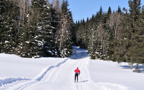 Le centre Castor | Visiter Québec
