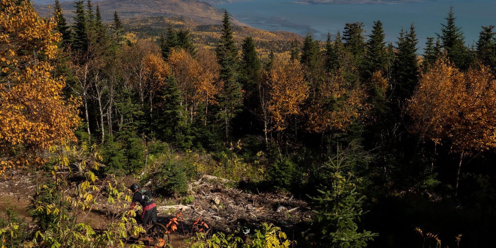 Le Massif de Charlevoix | Visit Québec City