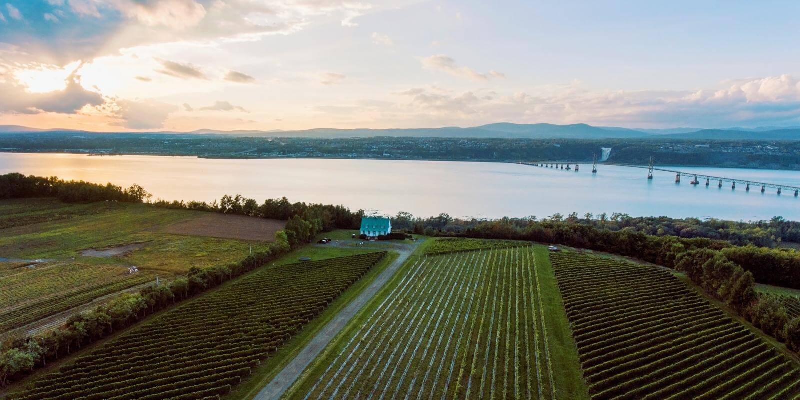 Vignoble Ste-Pétronille - Vignobles et producteurs d'alcool | Attraits ...
