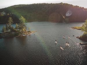 The Best Kayaking in Québec City | Visit Québec City