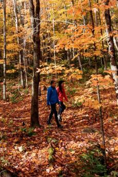 Québec City Spring Vacation Guide | Visit Québec City