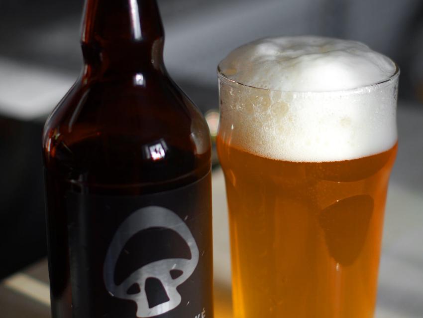Québec City Craft Breweries Guide | Visit Québec City