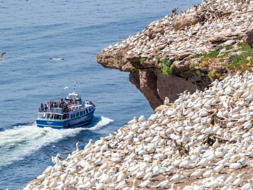 Sépaq: 10 National Parks to Visit in Eastern Québec | Visit Québec City