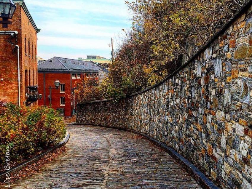 Les 15 plus belles rues du Vieux-Québec | Visiter Québec