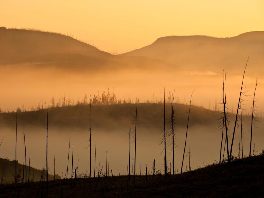Sépaq: 10 National Parks to Visit in Eastern Québec | Visit Québec City