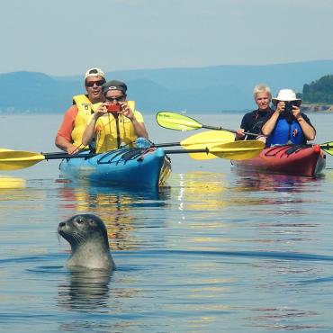 Sépaq: 10 National Parks to Visit in Eastern Québec | Visit Québec City